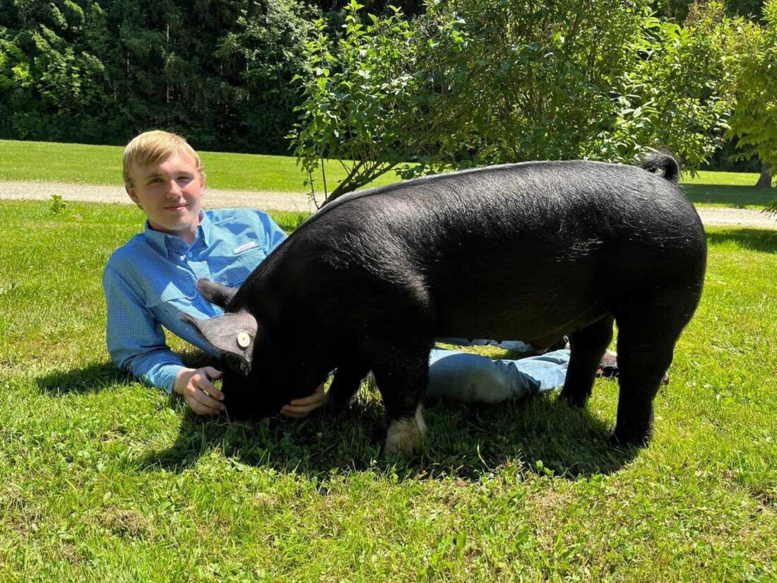 Staff, 4-Hers Make Final Fair Preparations | News, Sports, Jobs - Post ...